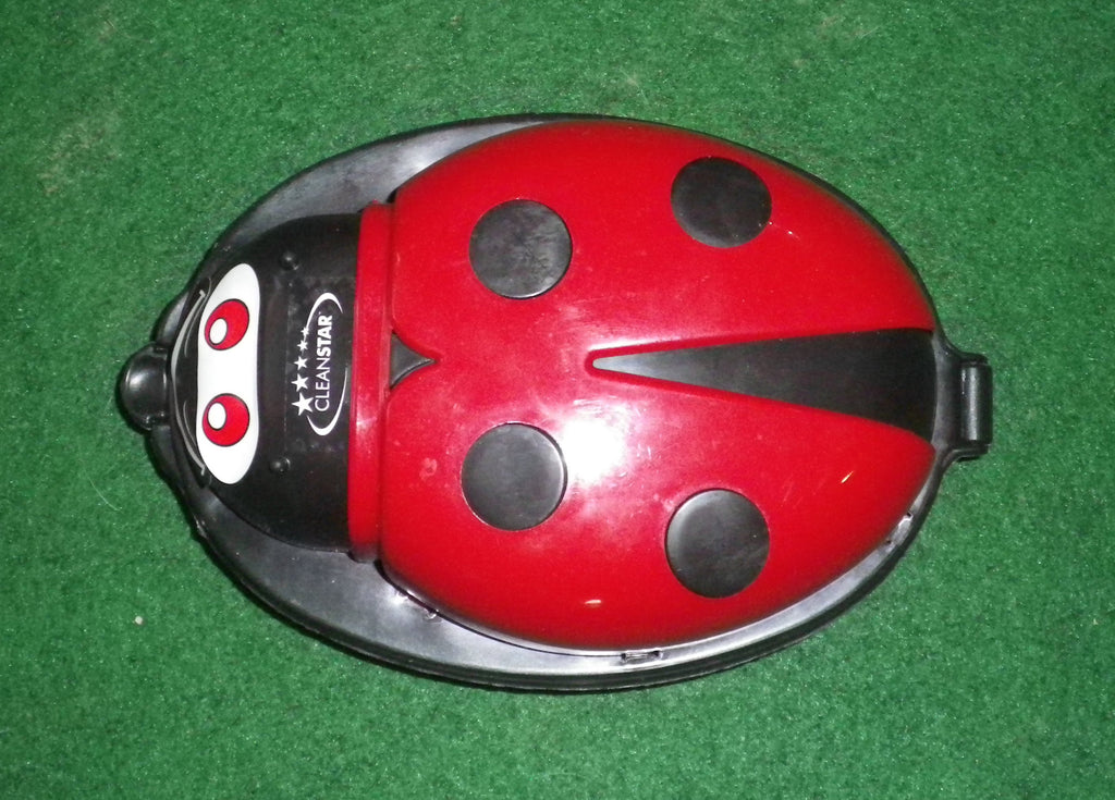 Eco Friendly Ladybug Handheld Sweeper - Low Carbon Footprint - Part ...